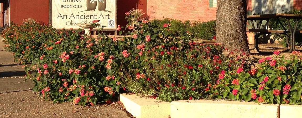 Home | Strawn Chamber of Commerce